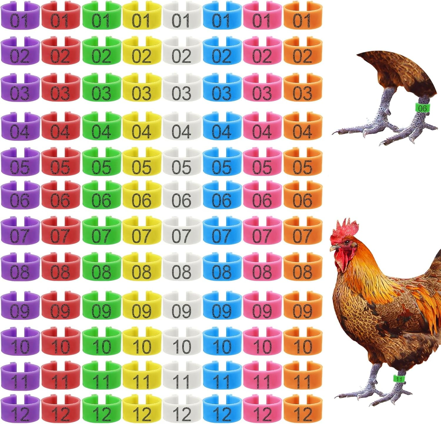 96 Pcs 20mm Duck Identification Leg Bands with 8 Color, Chicken Duck Ankle Tags Poultry Leg Foot ...