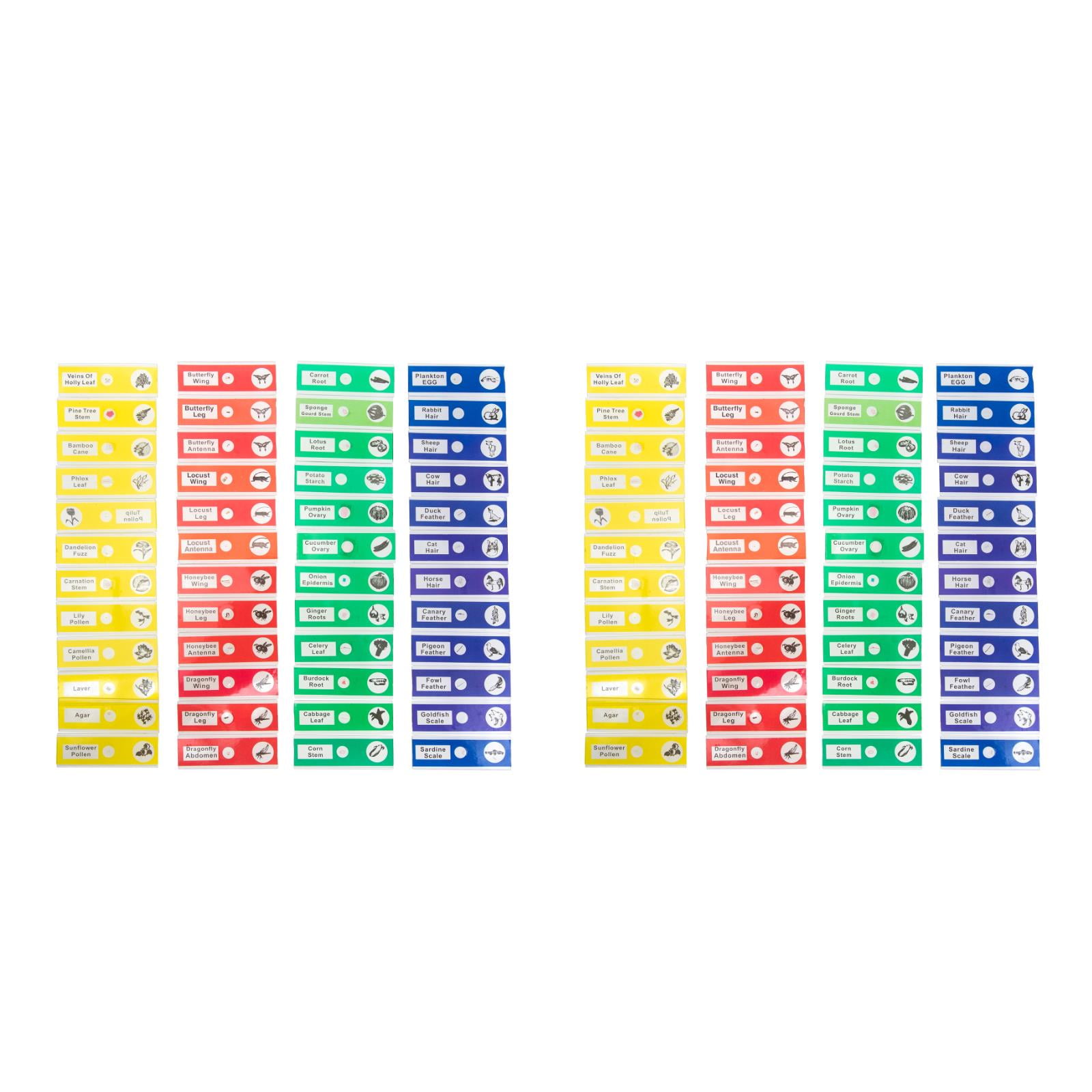 96 pcs Prepared Microscope Slides Biological Specimen Slides for Kids ...