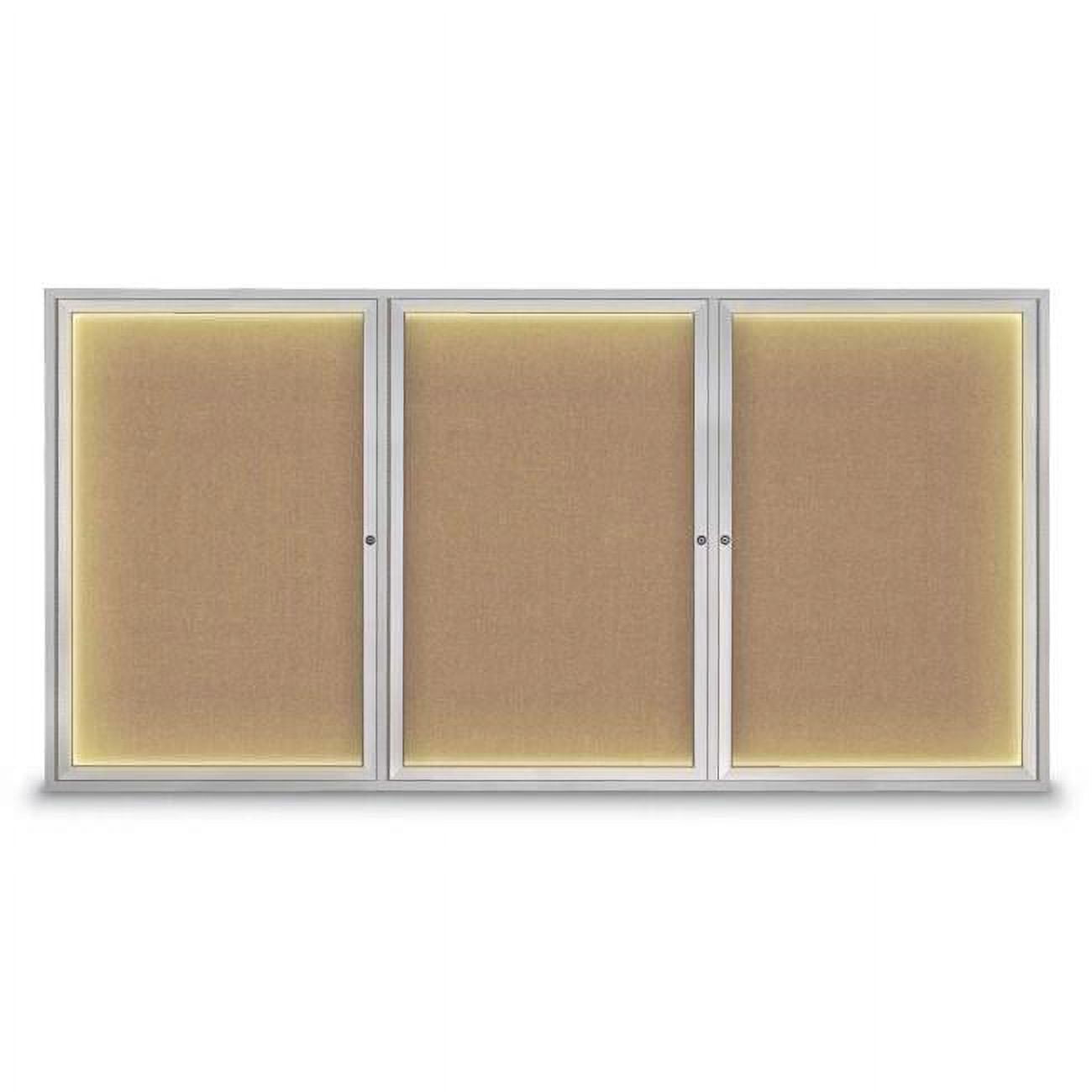 96 x 48 in. Triple Door Traditional Indoor with Illumination Enclosed ...