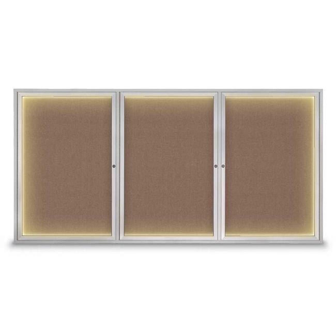 96 x 48 in. Triple Door Traditional Indoor with Illumination Enclosed ...