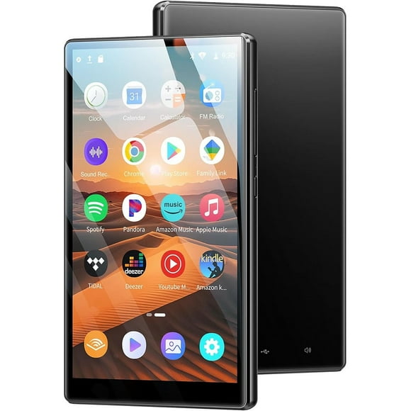 iPod Touch in Apple iPods - Walmart.com