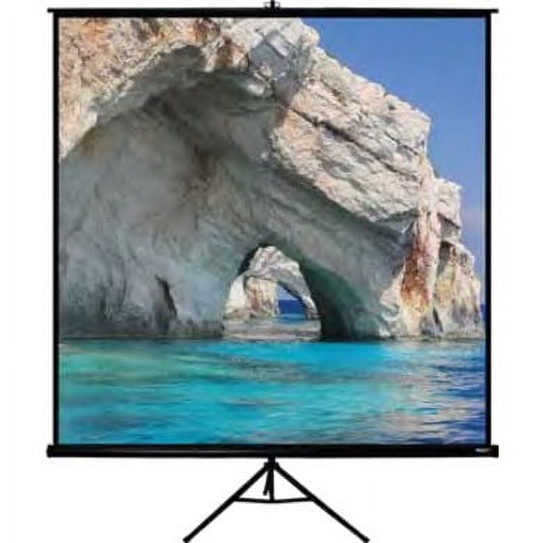Hamilton Buhl TPS-T96BLK 135.8" Manual Projection Screen - Walmart.com