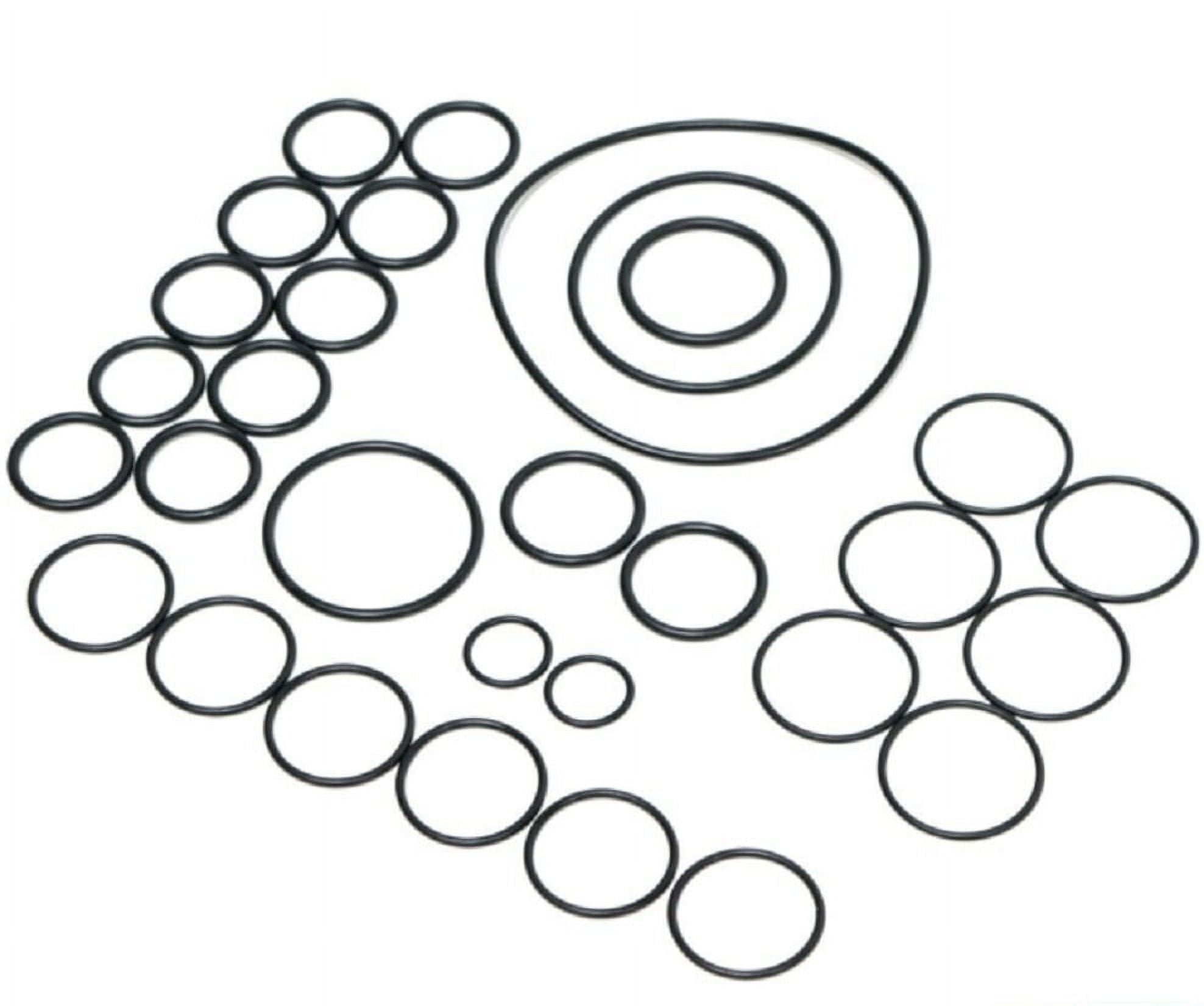 9910-KIT2389 Hypro O-Ring Kit For D303 And D403 Diaphragm Pump ...