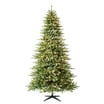 Home Accents Holiday 7.5 ft Jackson Noble Fir LED Pre-Lit Artificial ...