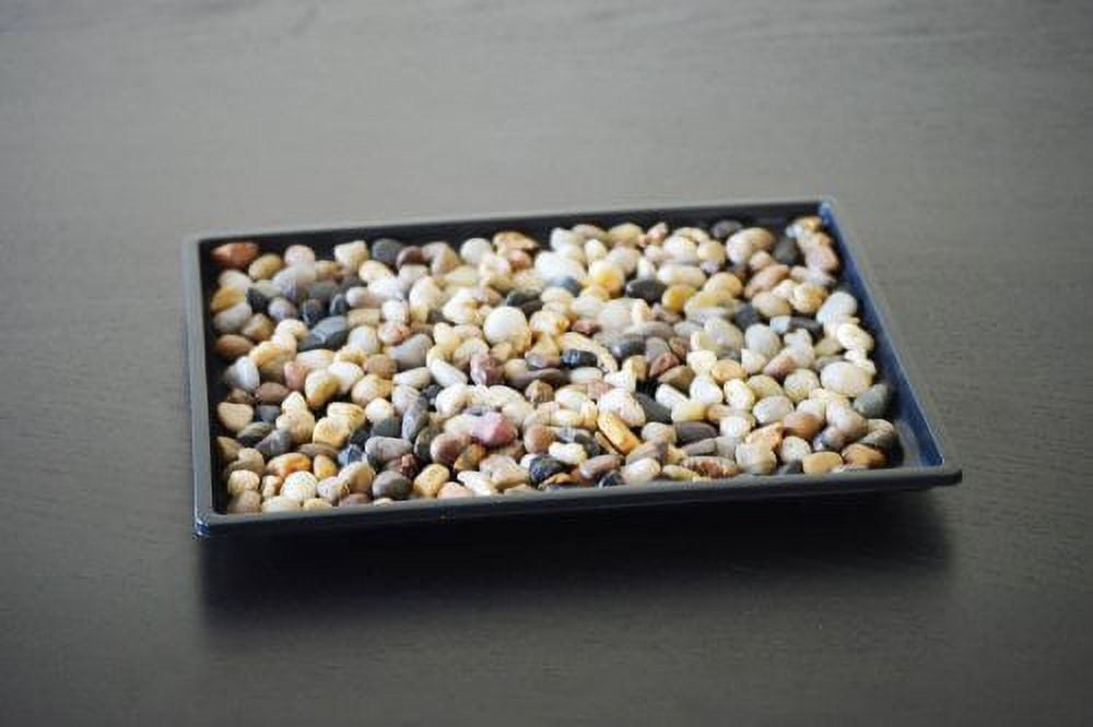 9GreenBox - Indoor Bonsai Humidity Drip Tray 8" x 10" with Pebbles ...