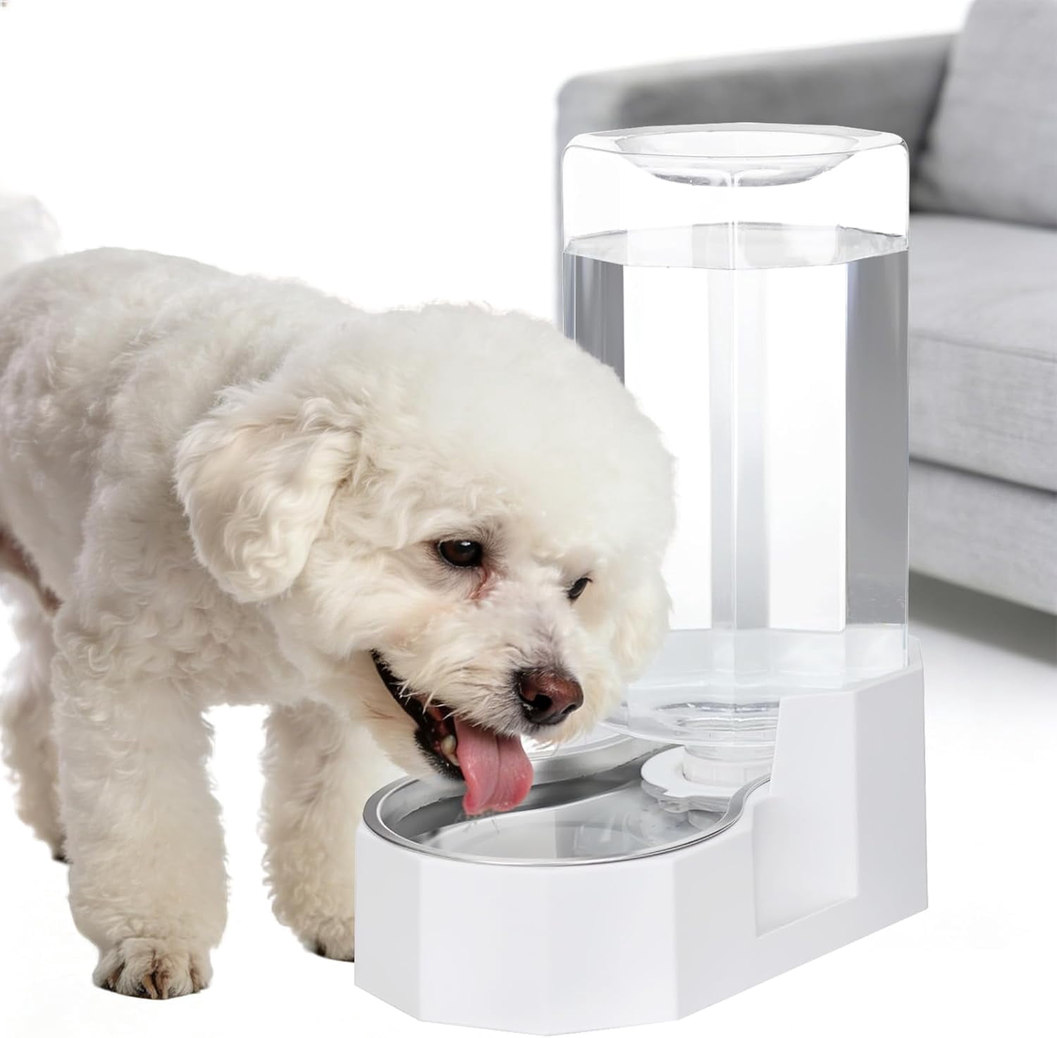 9L Gravity-Fed Dog Water Dispenser – Stainless Steel Bowl with Non-Slip ...