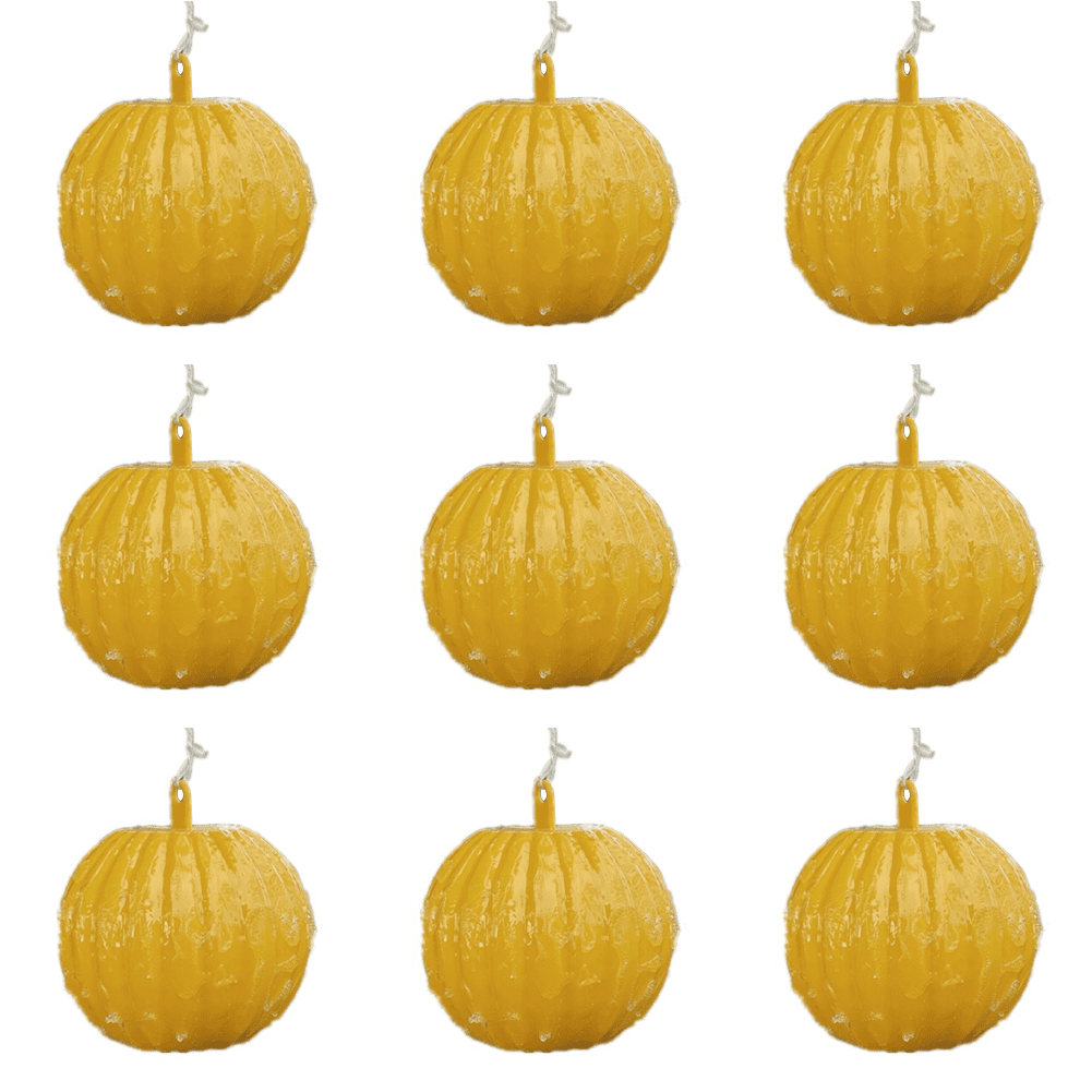 9Pcs Sticky Fruit Fly Trap Ball, Adhesive Fly Catching Ball, Wasp Traps ...