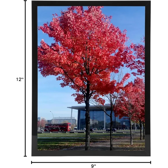 Picture Frames 9 X 12