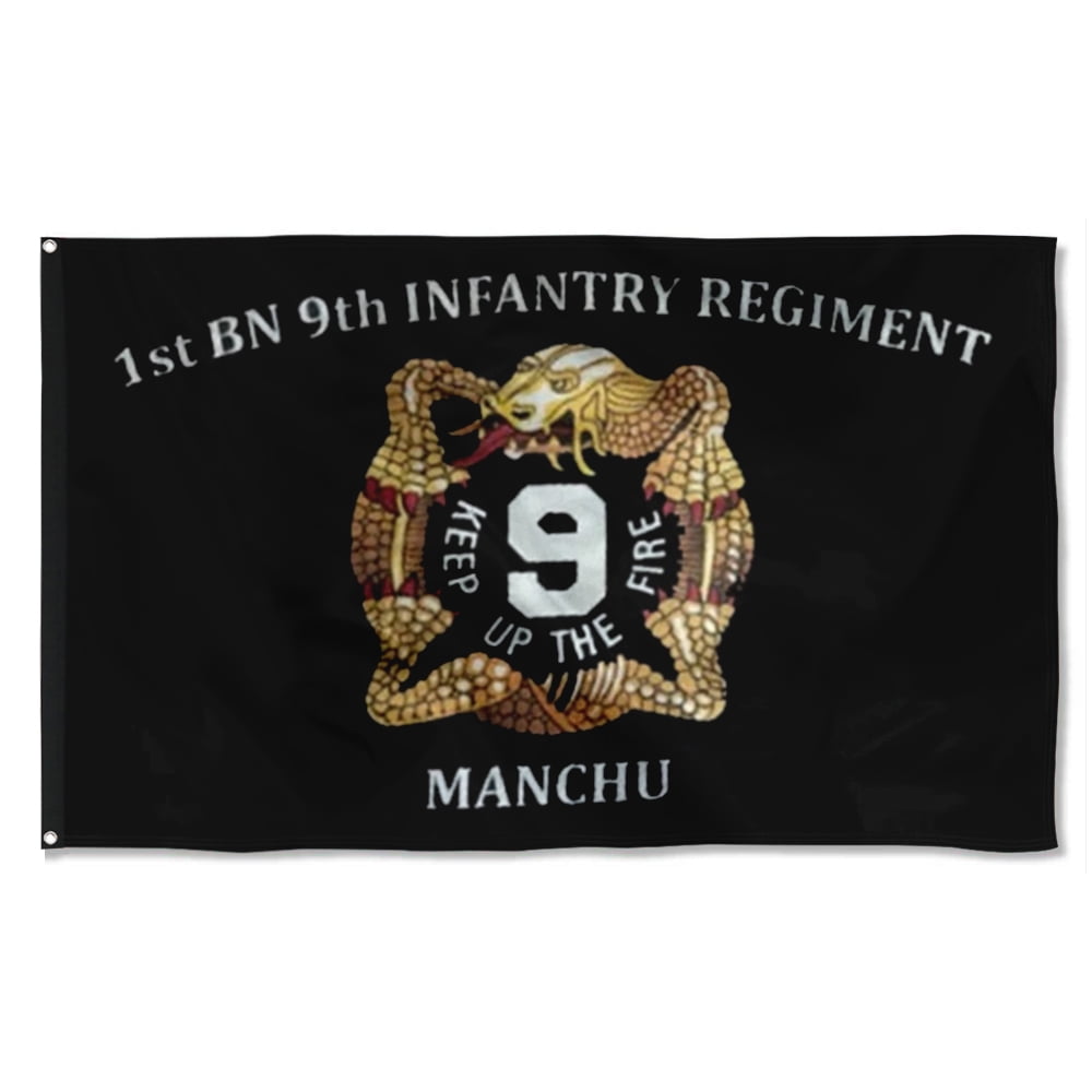 9th Infantry Regiment Flag 3x5Feet Military Banner with 2 Brass ...