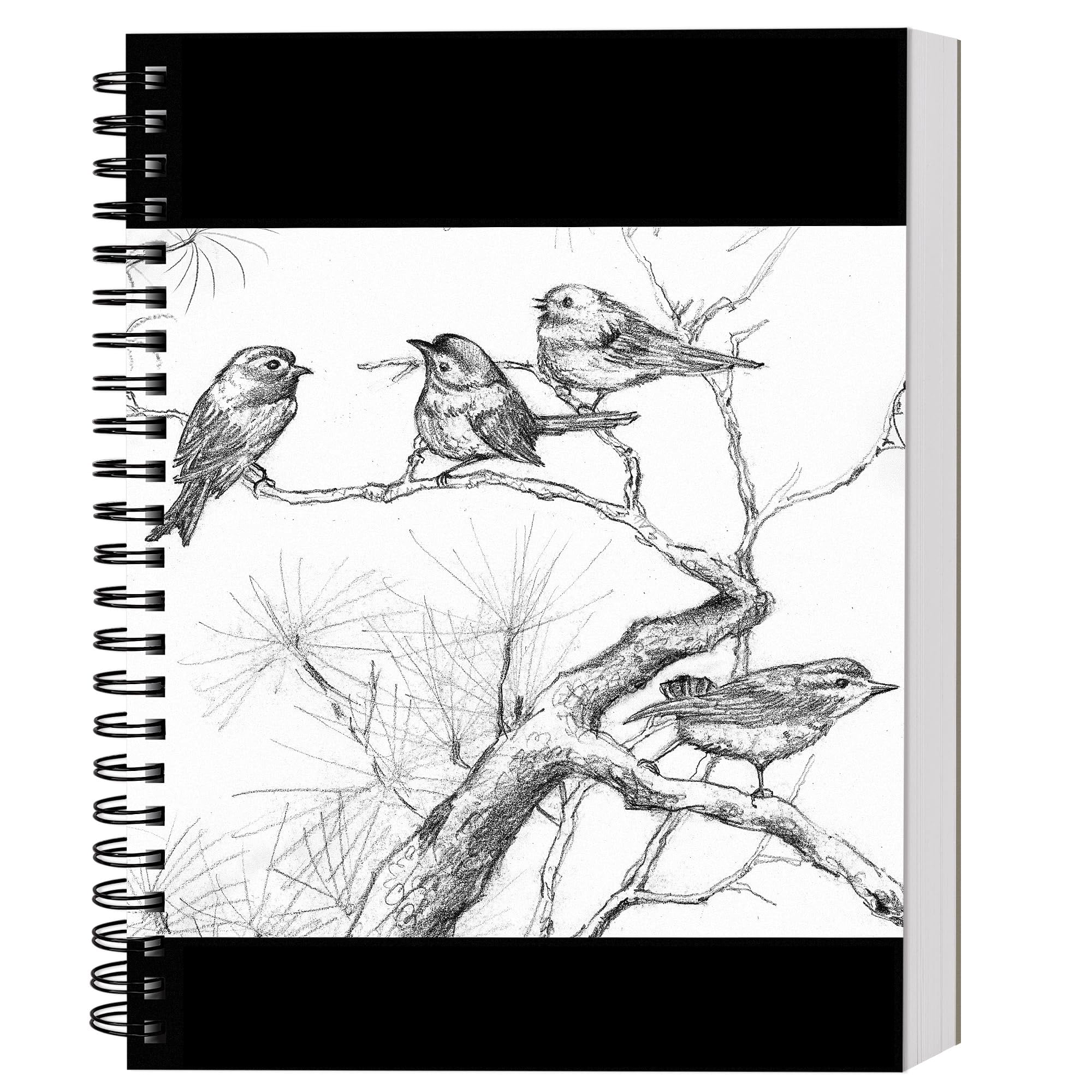 9x12 Inch Sketch Book with 100 Sheets, Acid-Free Spiral Bound Pad for ...