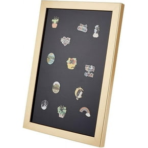 Pin Display Case