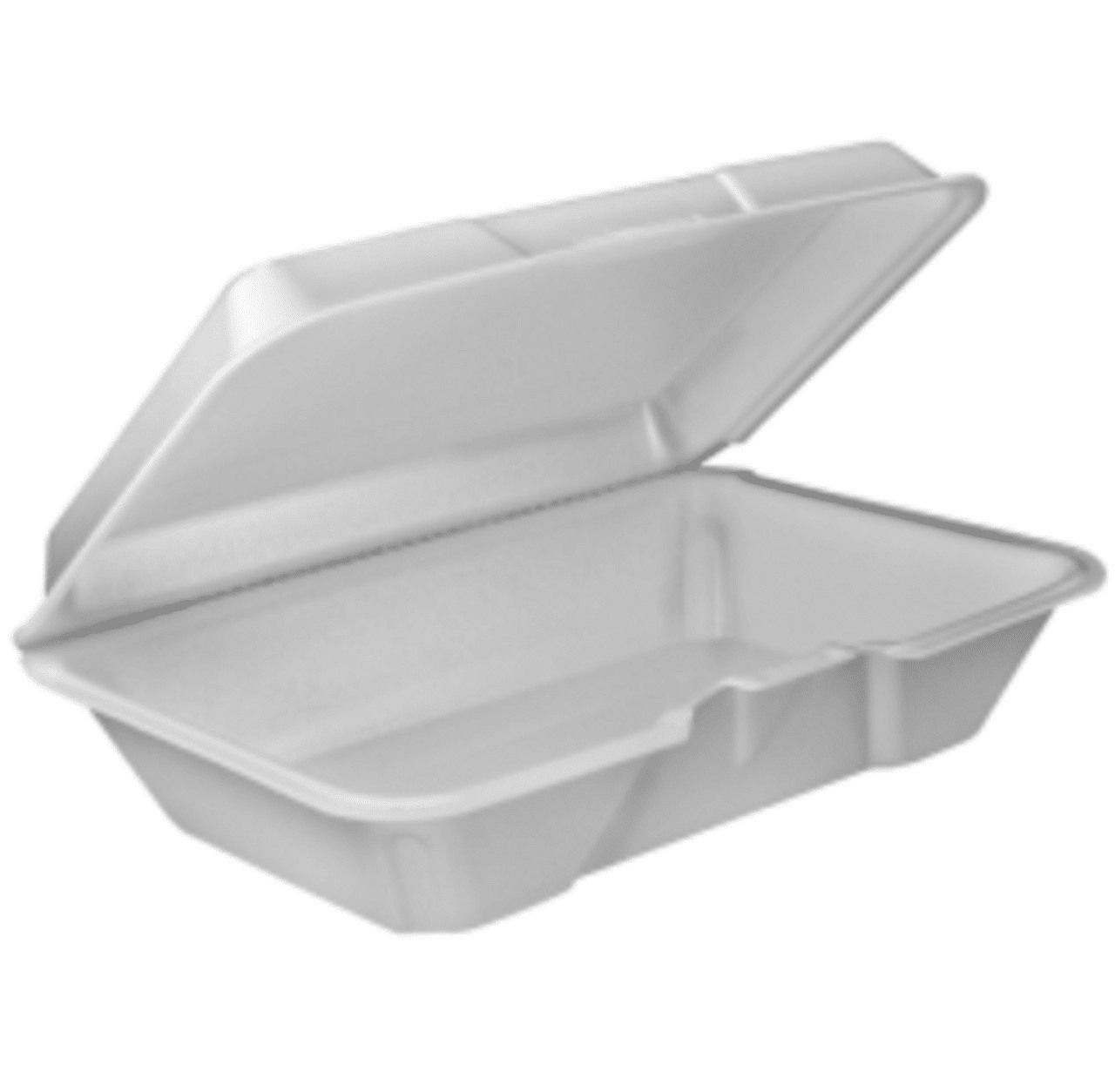 9x6 Foam Hinged-Lid Medium Container (200/cs) - Walmart.com