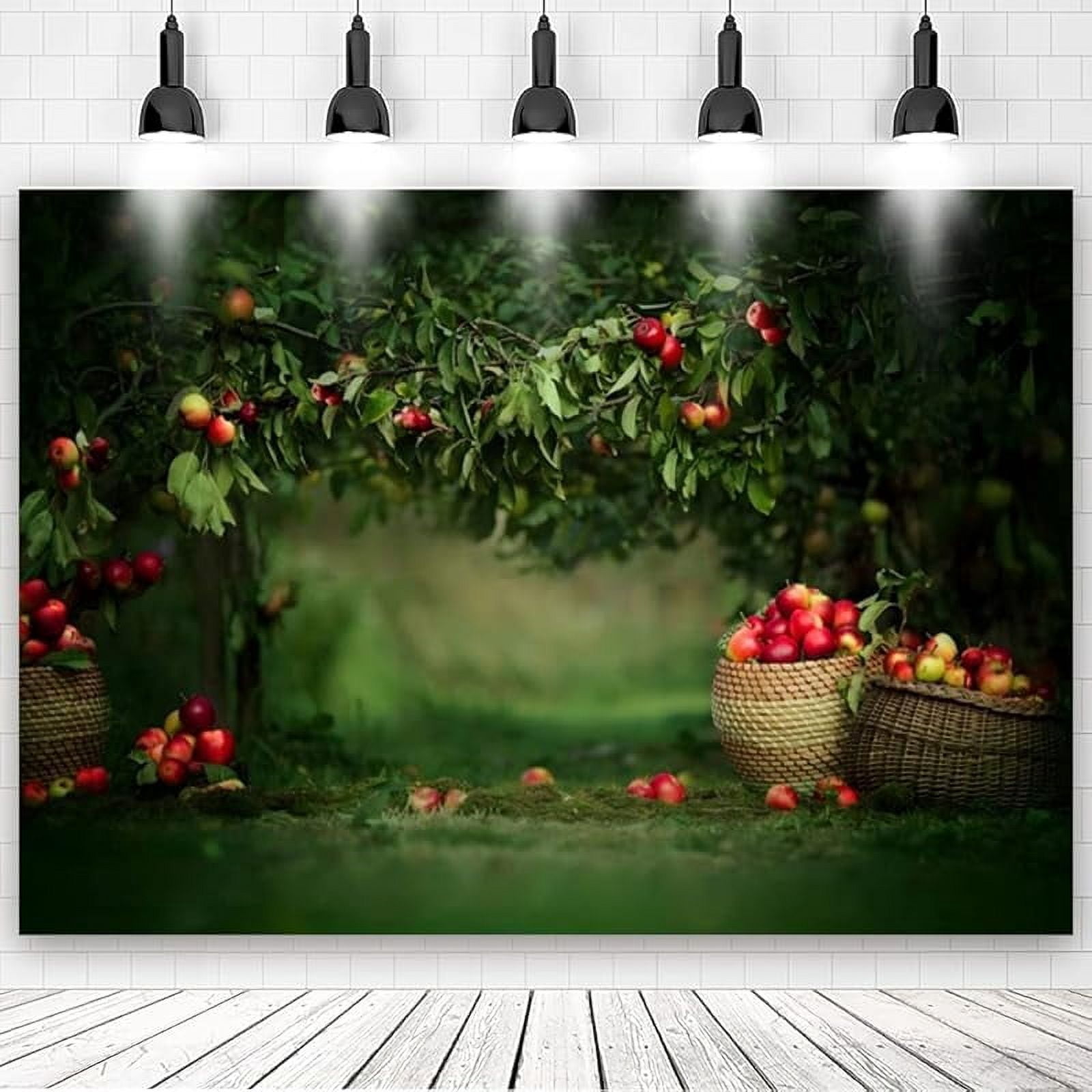 9x6ft Apple Trees Backdrop for Baby Portrait Backdrop Orchard Landscape ...
