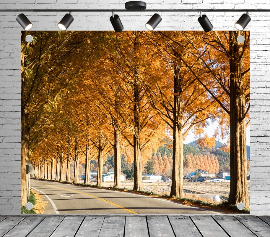9x6ft Autumn Backdrop Golden Ginkgo Tree Photo Backdrop Rustic ...