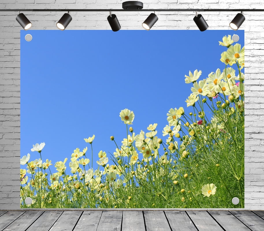 9x6ft Charming White Flower Field Backdrop Photoshoot Photo Backdrop ...