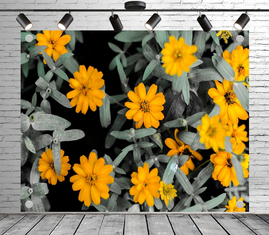 9x6ft Floral Backdrop Yellow Zinnia Flowers Photo Backdrop Garden ...