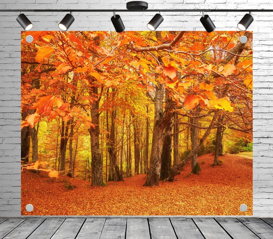 9x6ft Forest Backdrop Golden Fall Foliage and Tree Photo Backdrop ...