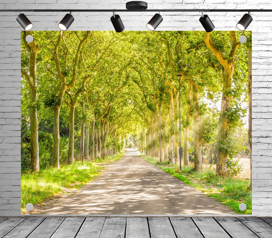 9x6ft Serene Tree Lined Sunlit Path Backdrop Photoshoot Photo Backdrop ...