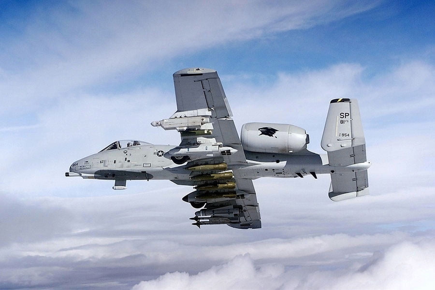 A-10 Warthog Thunderbolt II - 24x36 Inch Glossy Laminated Aviation ...