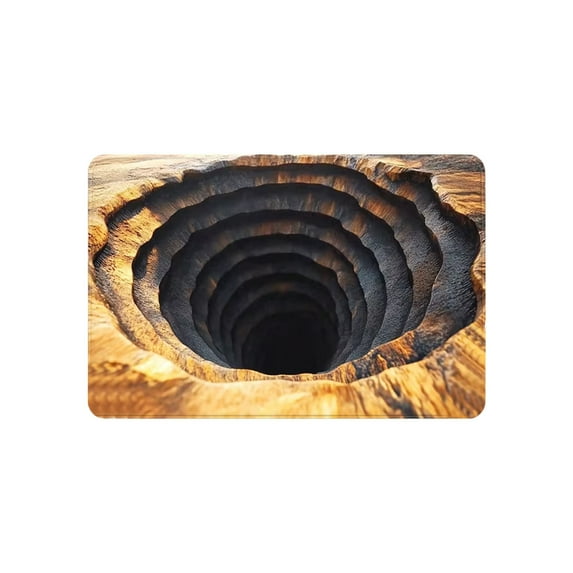 A 3D Stereoscopic Visual Doormat With Water-Absorbing Mat, Non-Slip ...
