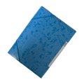 A 4 File Folder with Elastic File Organiser Document Storage Bag ...