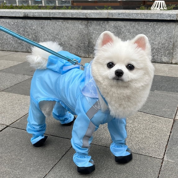 " A And Dry: Leash Ready Four Legged Dog Raincoat For Small Dogs ...