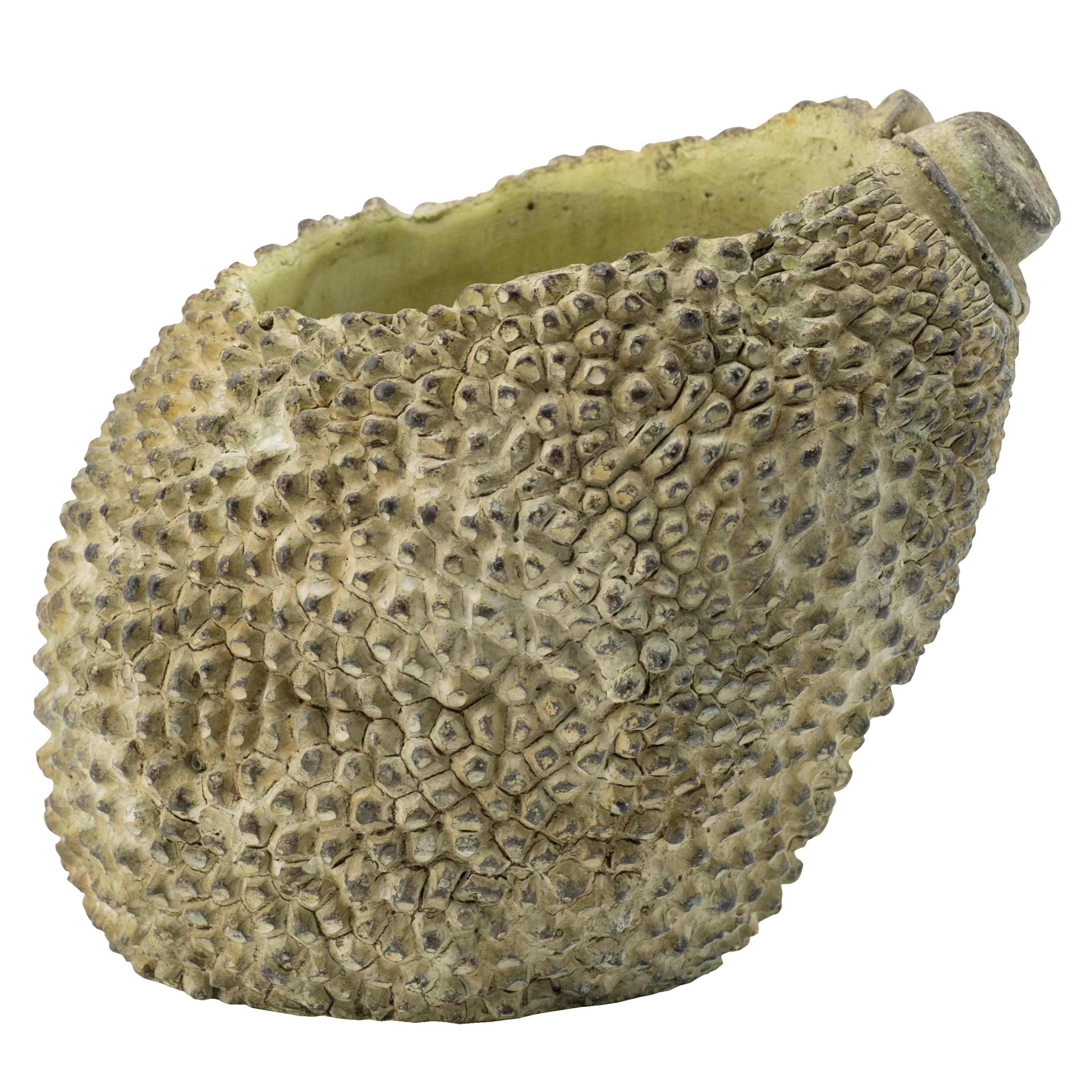 A&B Home 6-inch Light Green Jackfruit Outdoor Planter - Walmart.com