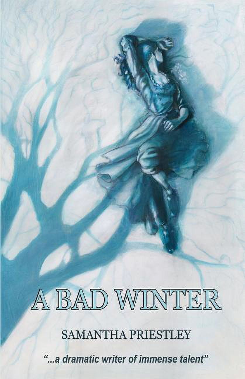 A Bad Winter (Paperback) - Walmart Business Supplies
