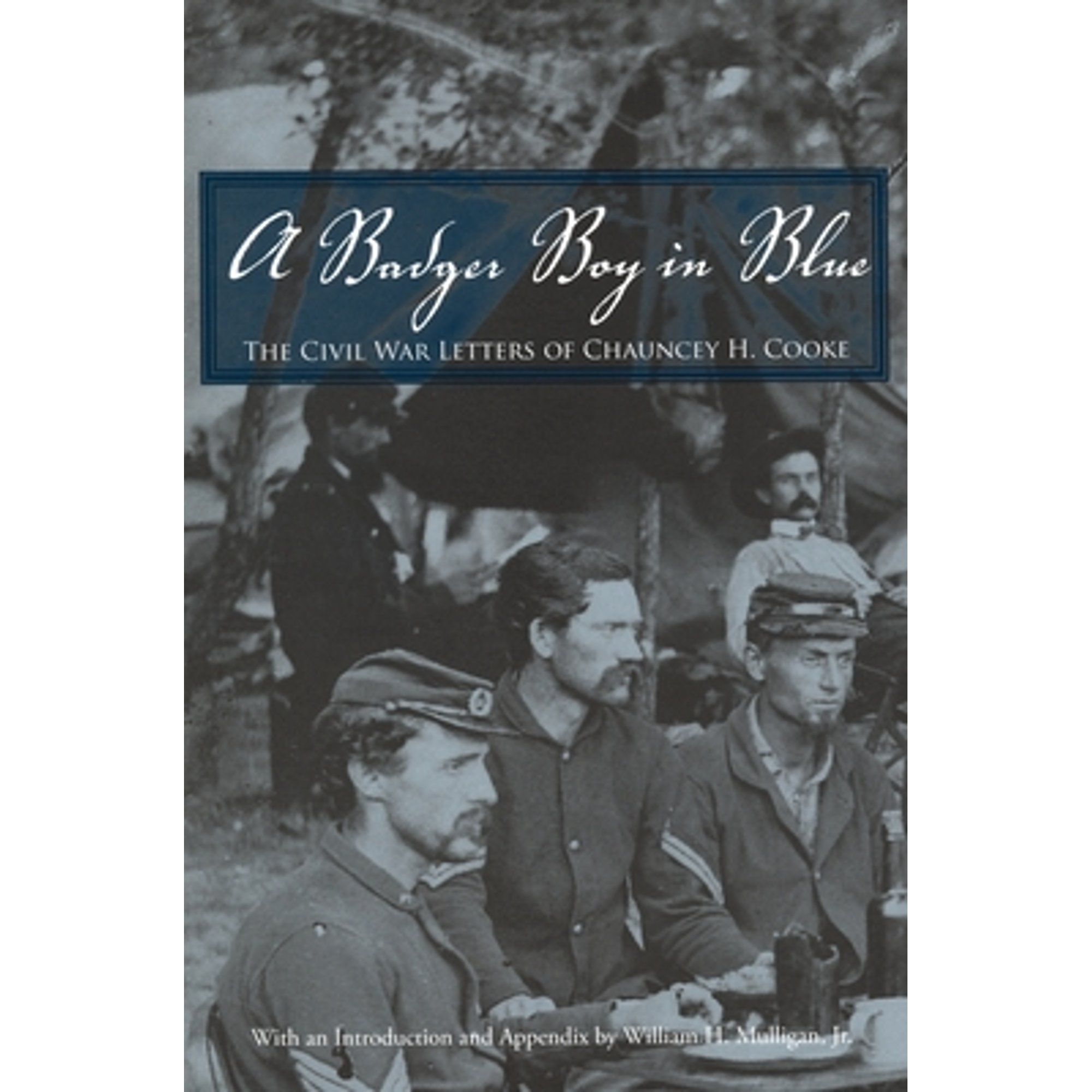 Pre-Owned A Badger Boy in Blue: The Civil War Letters of Chauncey H ...