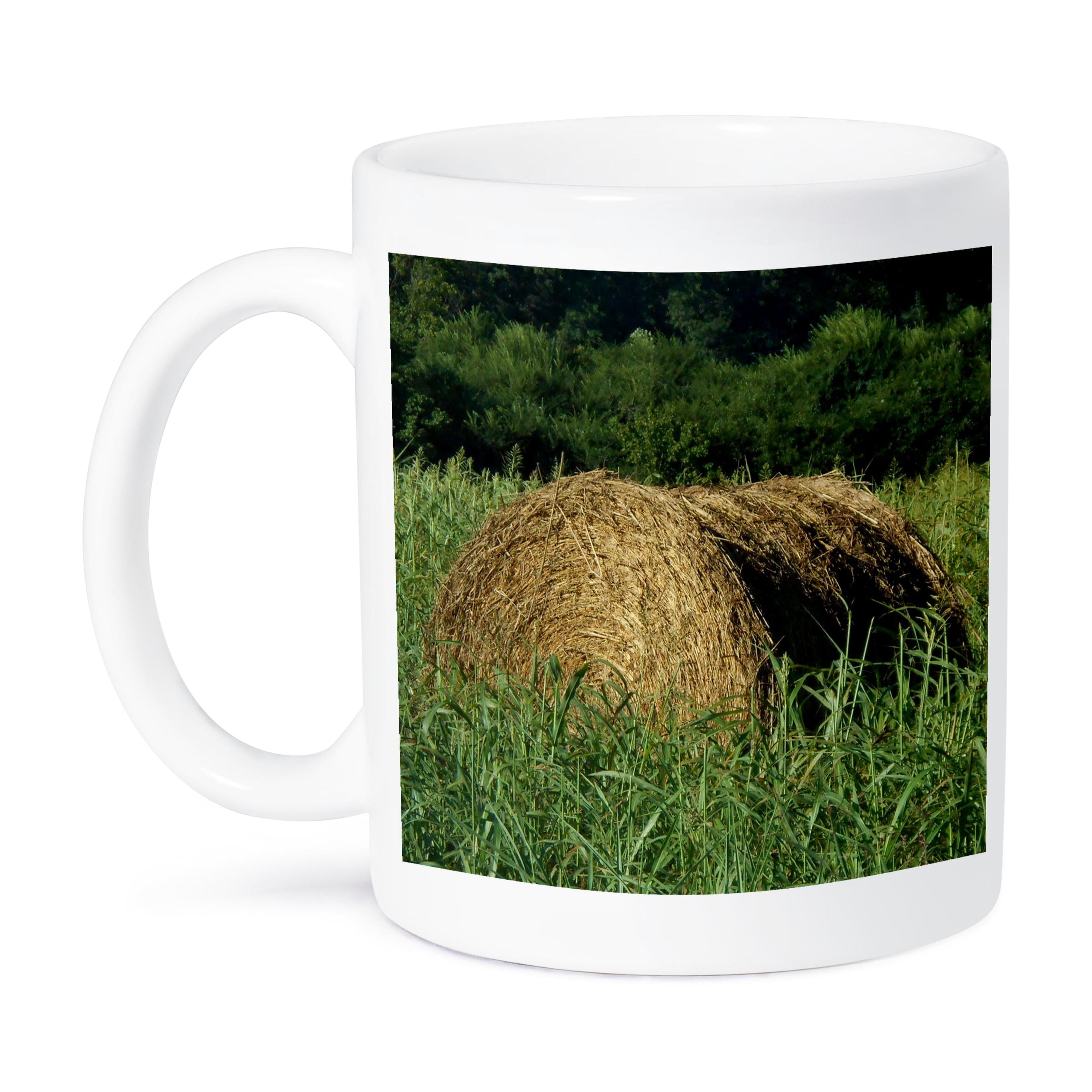 3dRose, A bale of hay in a pasture in Georgia, 15oz Mug - Walmart.com