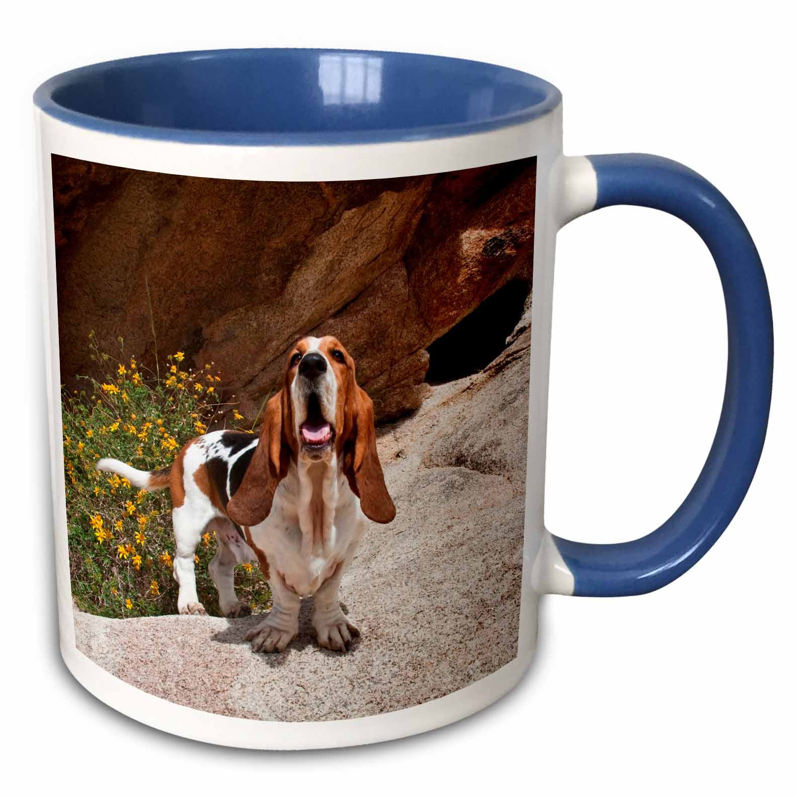 3drose, a Basset Hound Dog - Us05 Zmu0097 - Zandria Muench Beraldo ...