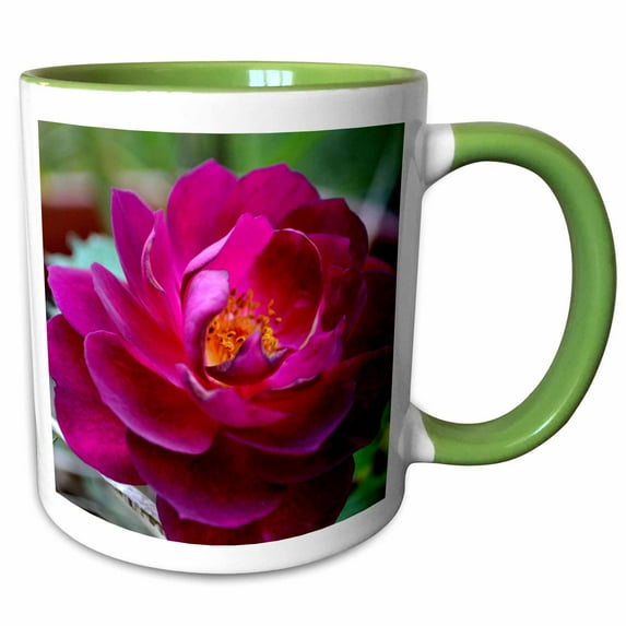 3drose, a Beautiful Dark Pink Garden Rose, 15oz Two-tone Green Mug ...