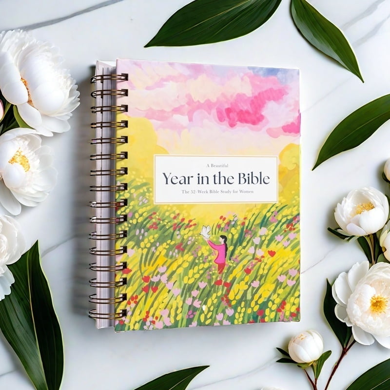 A Beautiful Year In The Bible: Finding Courage In The Face Of ...