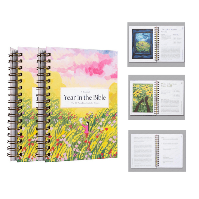 A Beautiful Year In The Bible Year In The Bible - Bible Study Guide ...