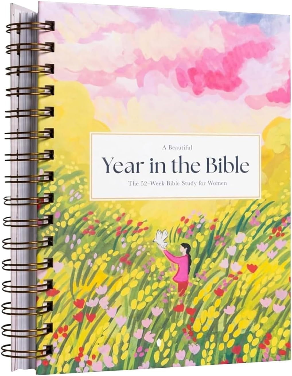 A Beautiful Year in The Bible for Women Spiral Bible for Women The 52 ...
