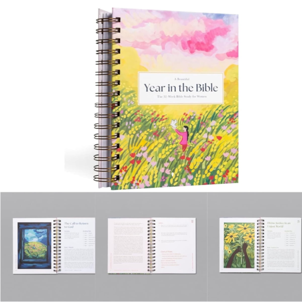 Bible Study Supplies The Bible In A Year: 52 Week Bible Study For Women ...