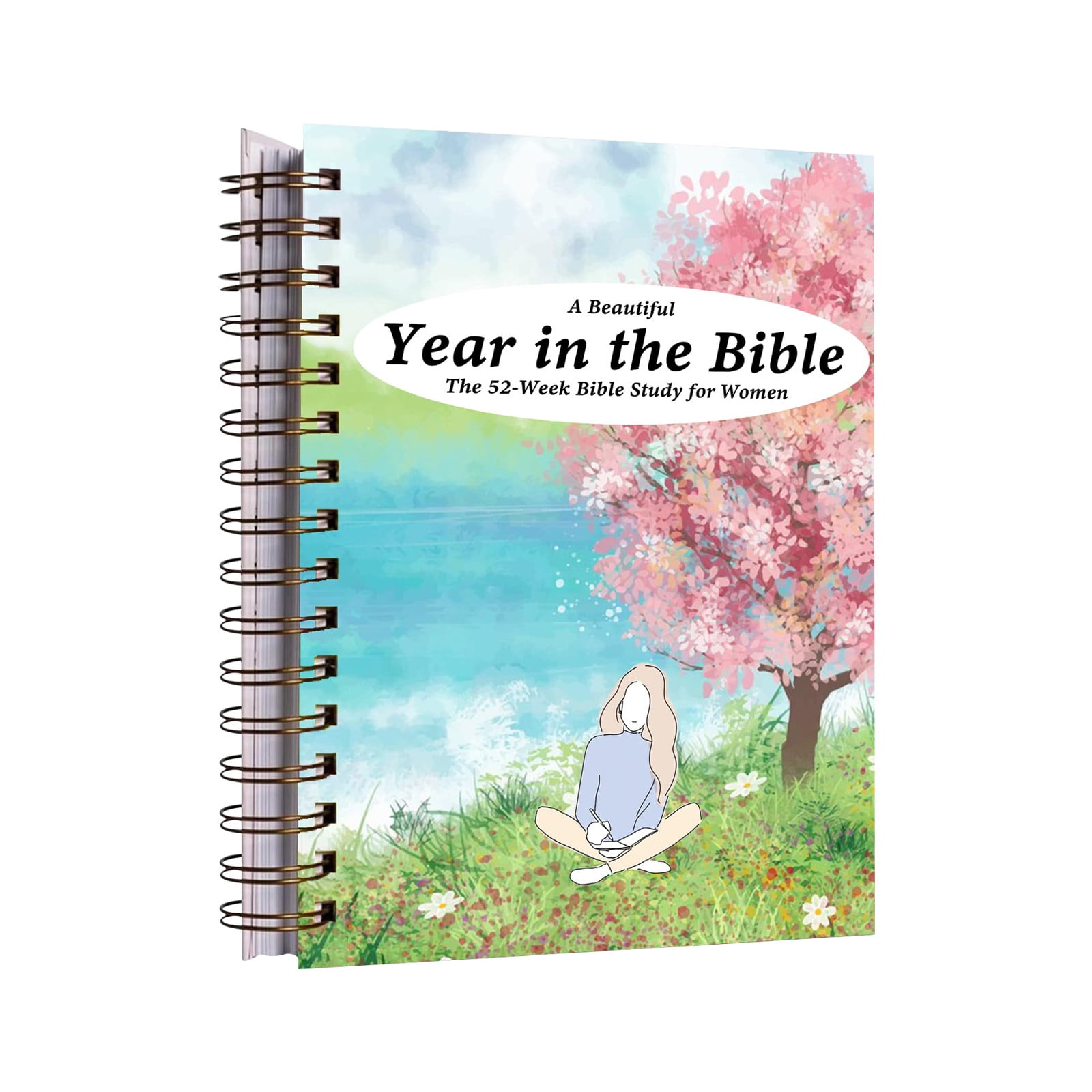 A Beautiful Year in the Bible: The 52-Week Bible Study For Women Bible ...