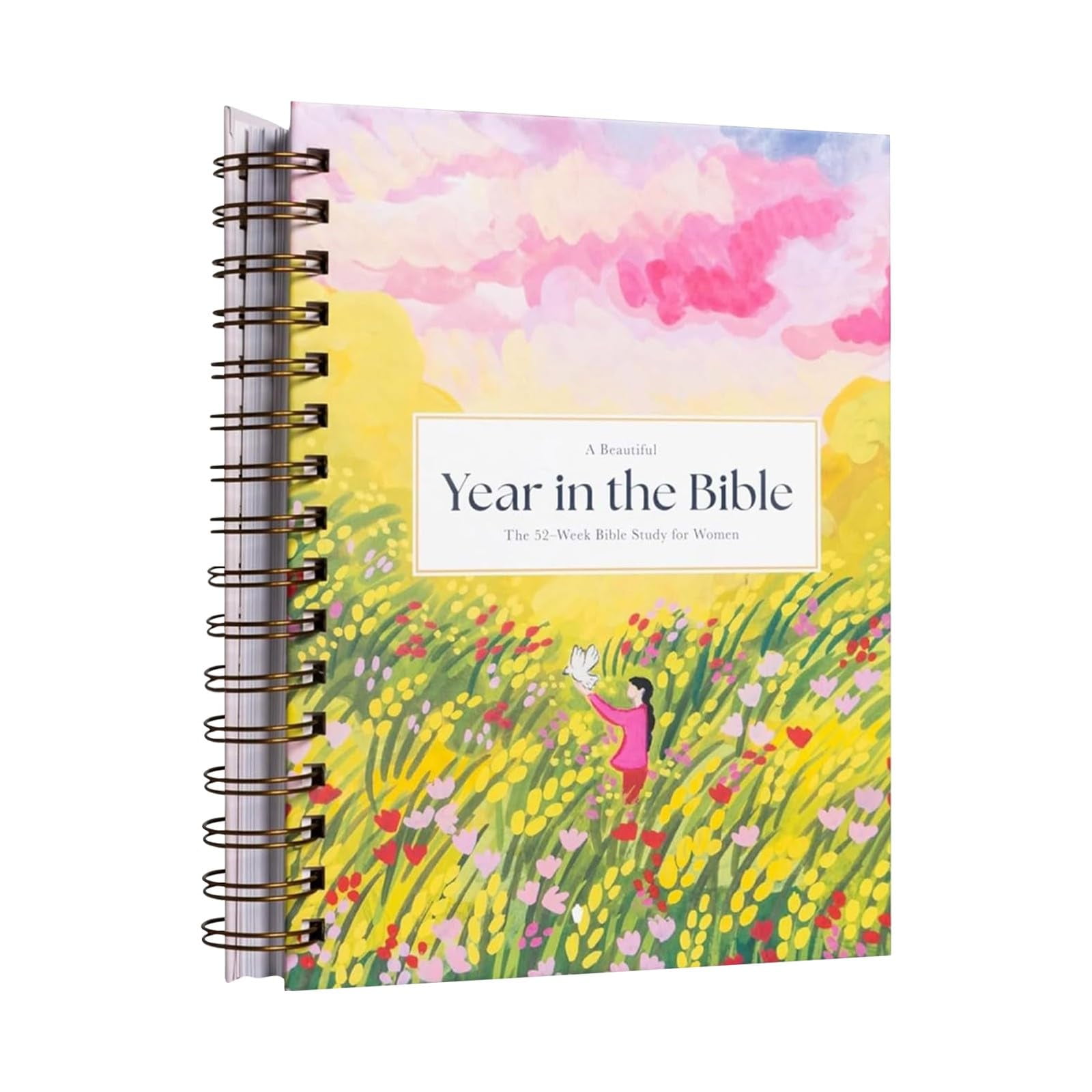 A Beautiful Year in the Bible: The 52-Week Bible Study for Women ...