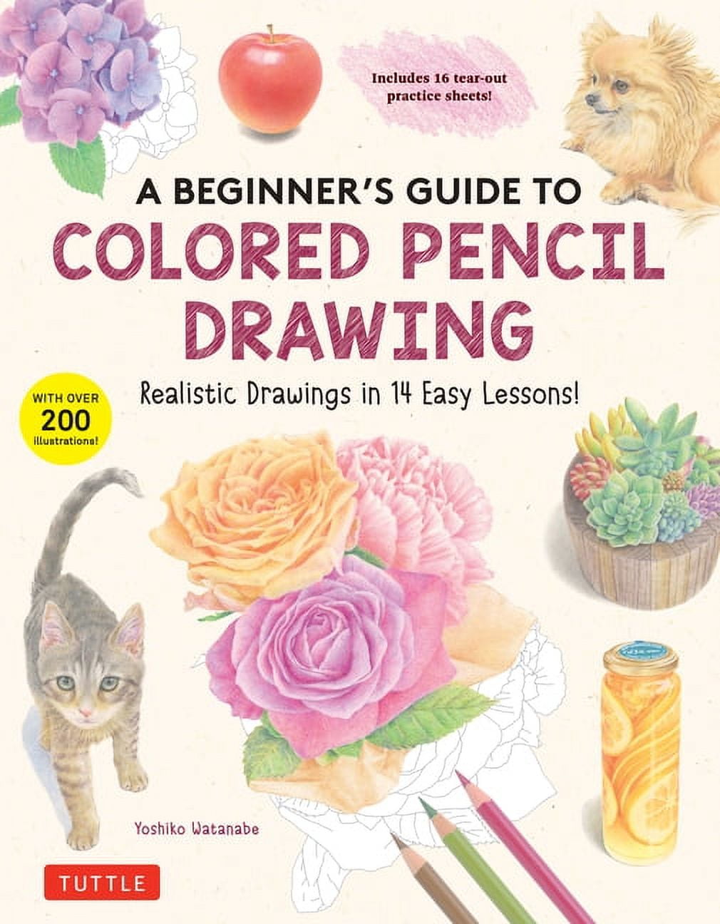 A Beginner's Guide to Colored Pencil Drawing (Paperback) - Walmart.com