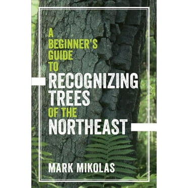 Identifying Trees of the East : An All-Season Guide to Eastern North ...