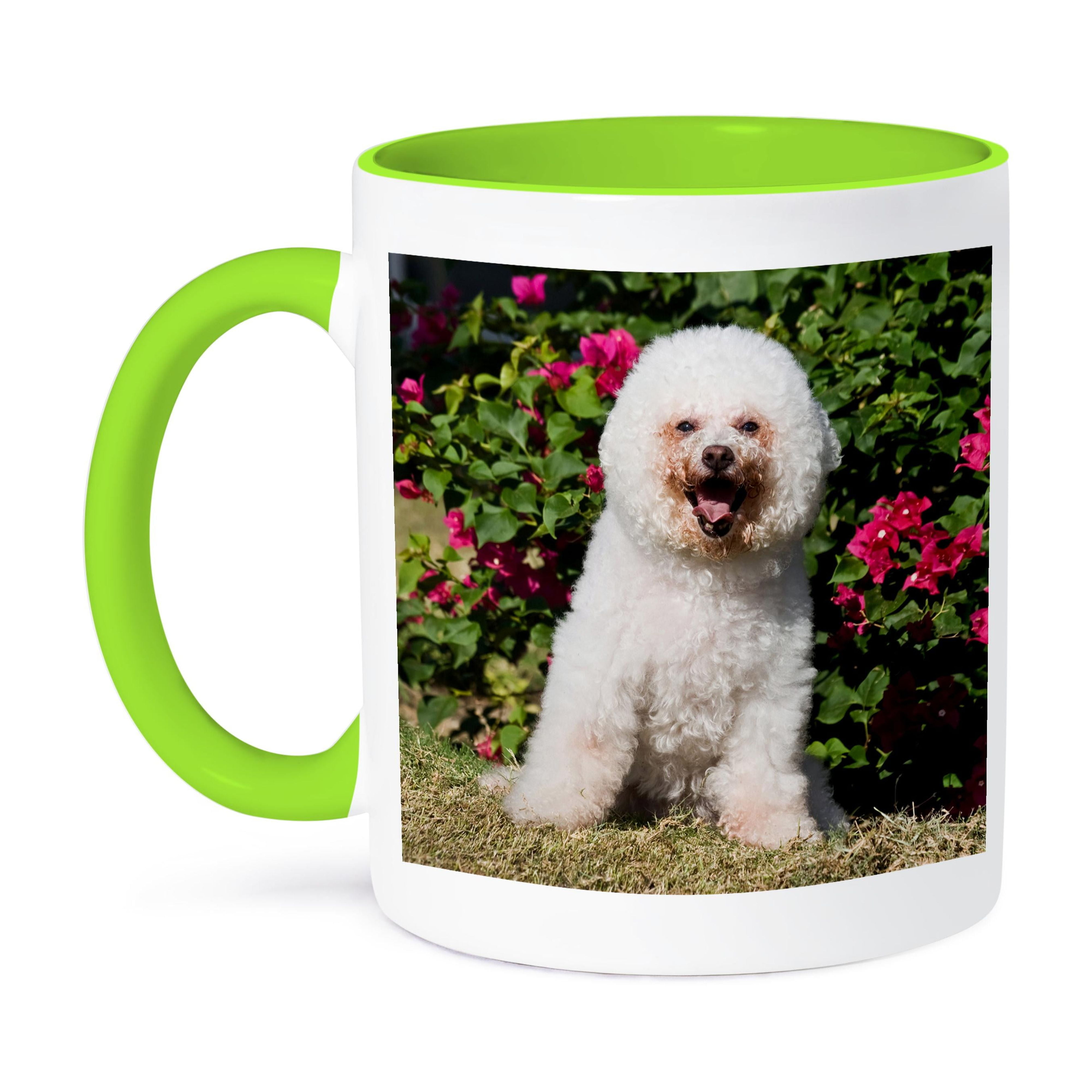 3dRose, A Bishon Frise dog - US05 ZMU0031 - Zandria Muench Beraldo, 11oz Two-Tone Green Mug ...