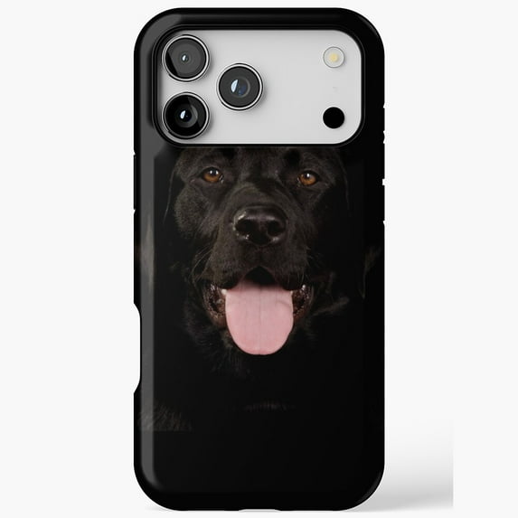 A Black Labrador iPhone Cover Themed Dog Graphic iPhone 11 through 17 ...