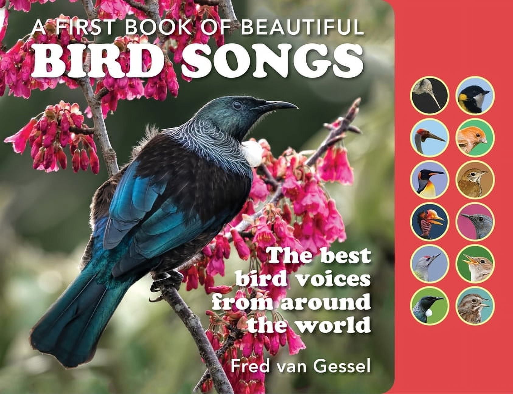 A Book of Beautiful Bird Songs: The Best Bird Voices from Around the ...