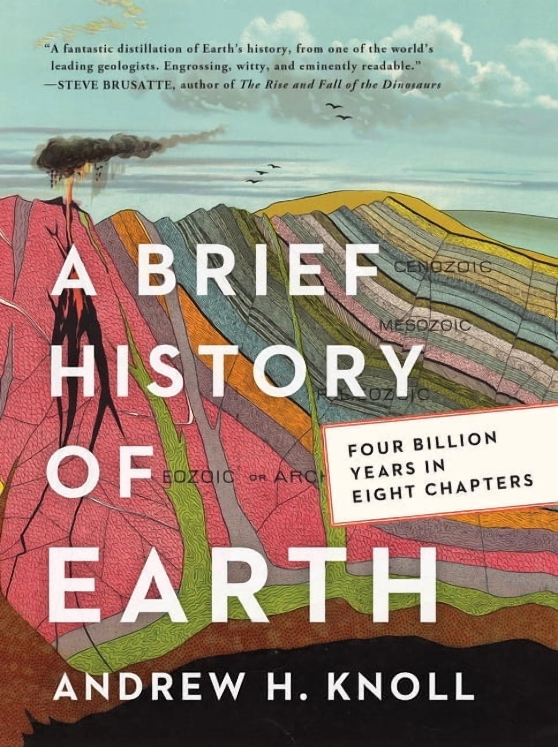 Brief History of Earth: Four Billion Years in Eight Chapters - Walmart.com