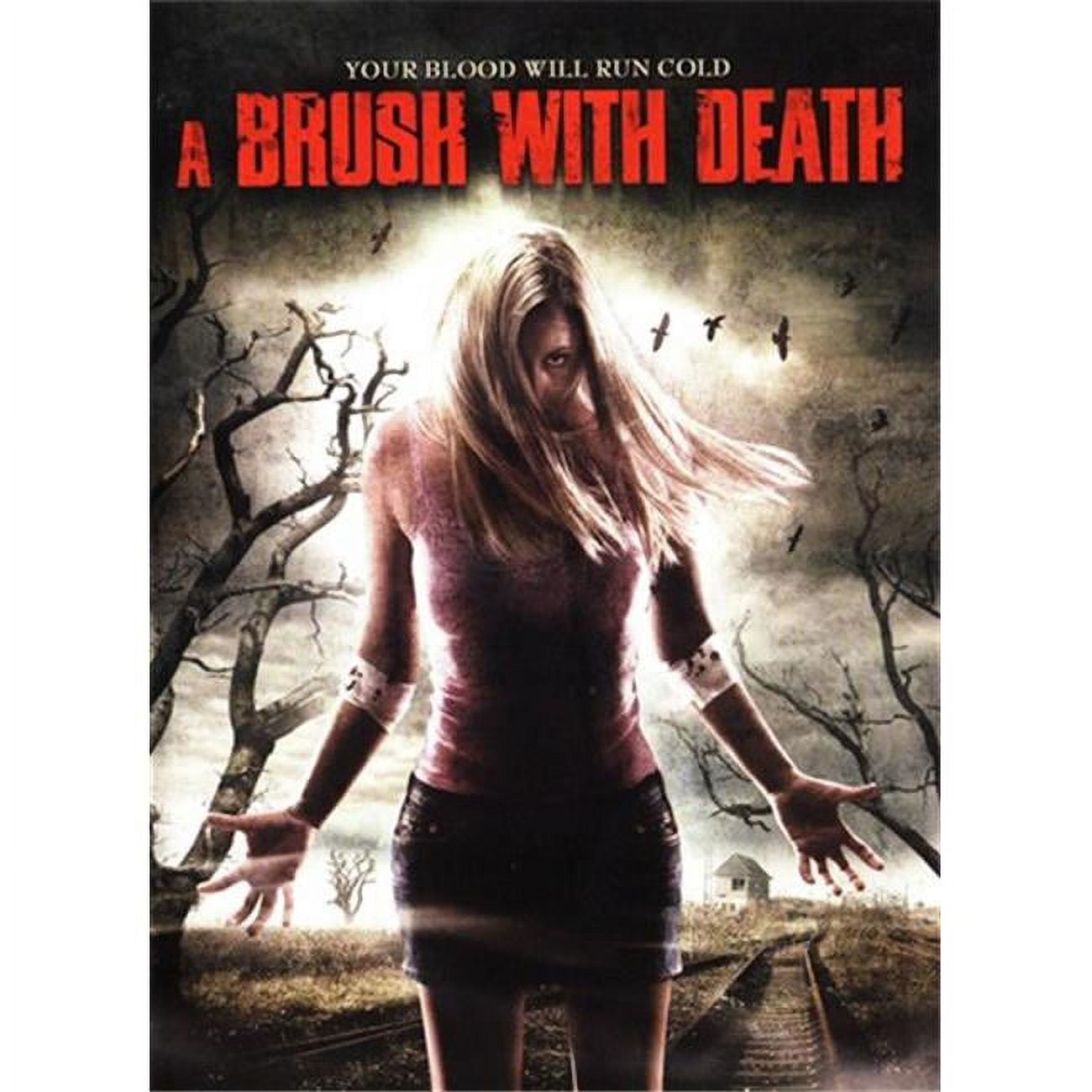 A Brush with Death Movie Poster - 11 x 17 in. - Walmart.com
