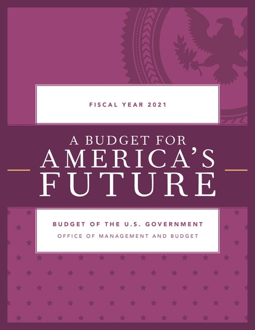 A Budget for America's Future: Budget of the U.S. Government, Fiscal ...