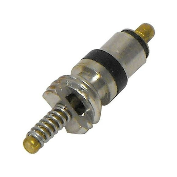 Jeep Liberty Ac System Valve Core And Cap Kit