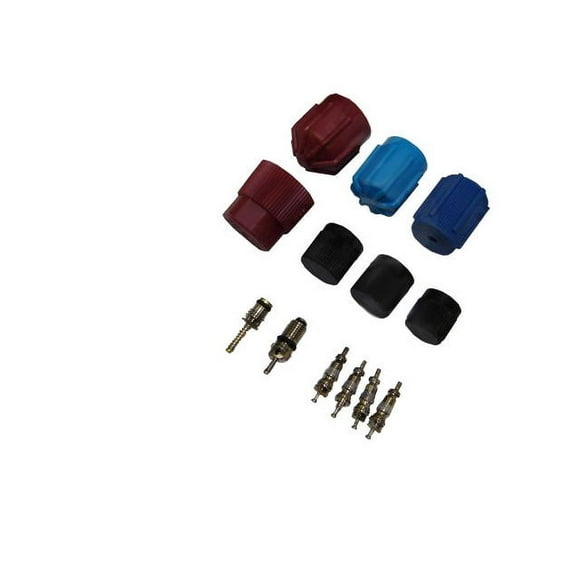 Toyota Prius Ac System Valve Core And Cap Kit