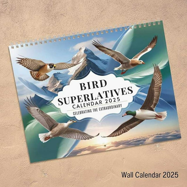 A Calendar Book Marquee 2025 Wall Calendar (12 Months) | 11.2“ X 8.2 ...