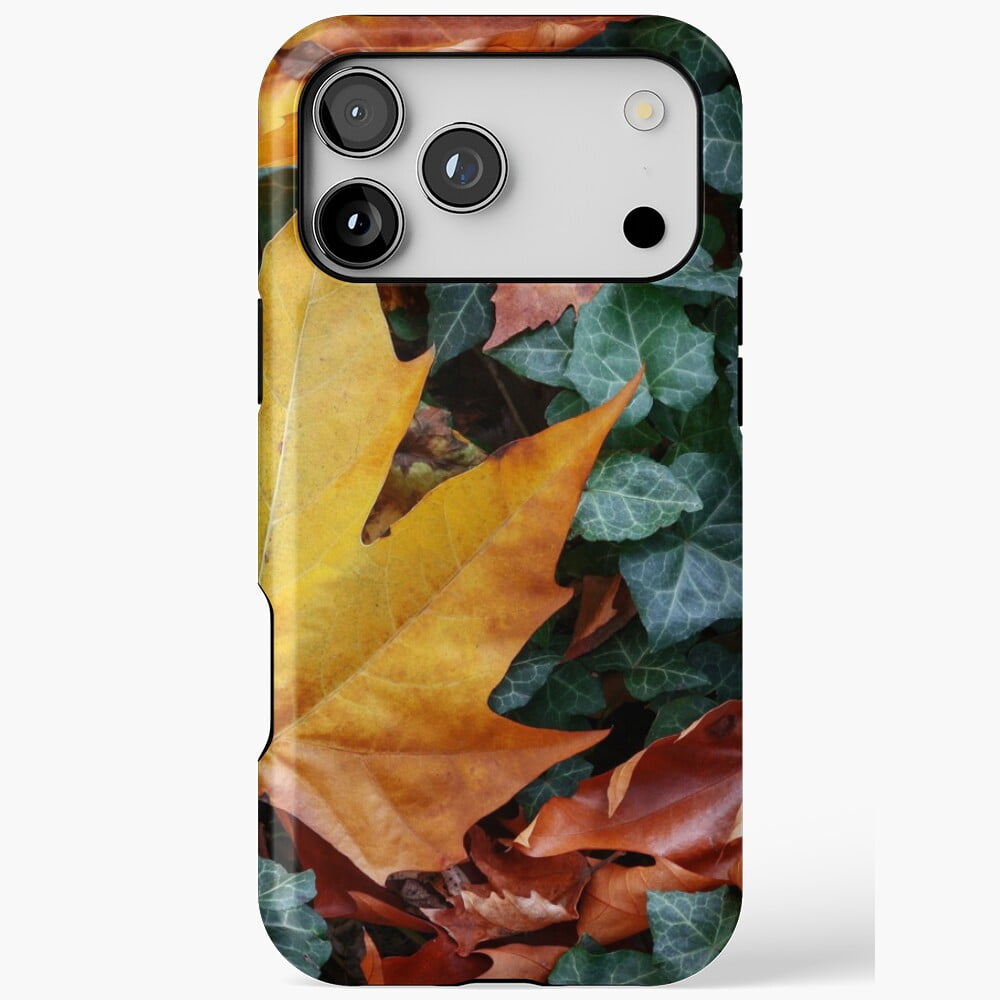 A Carpet of Colorful Autumn Leaves on the Ground iPhone 11 through 17 ...